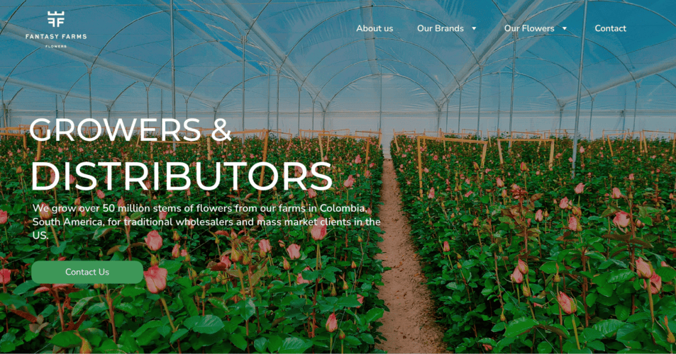 Hostinger Website Builder Examples: 26 Strikingly Creative Sites